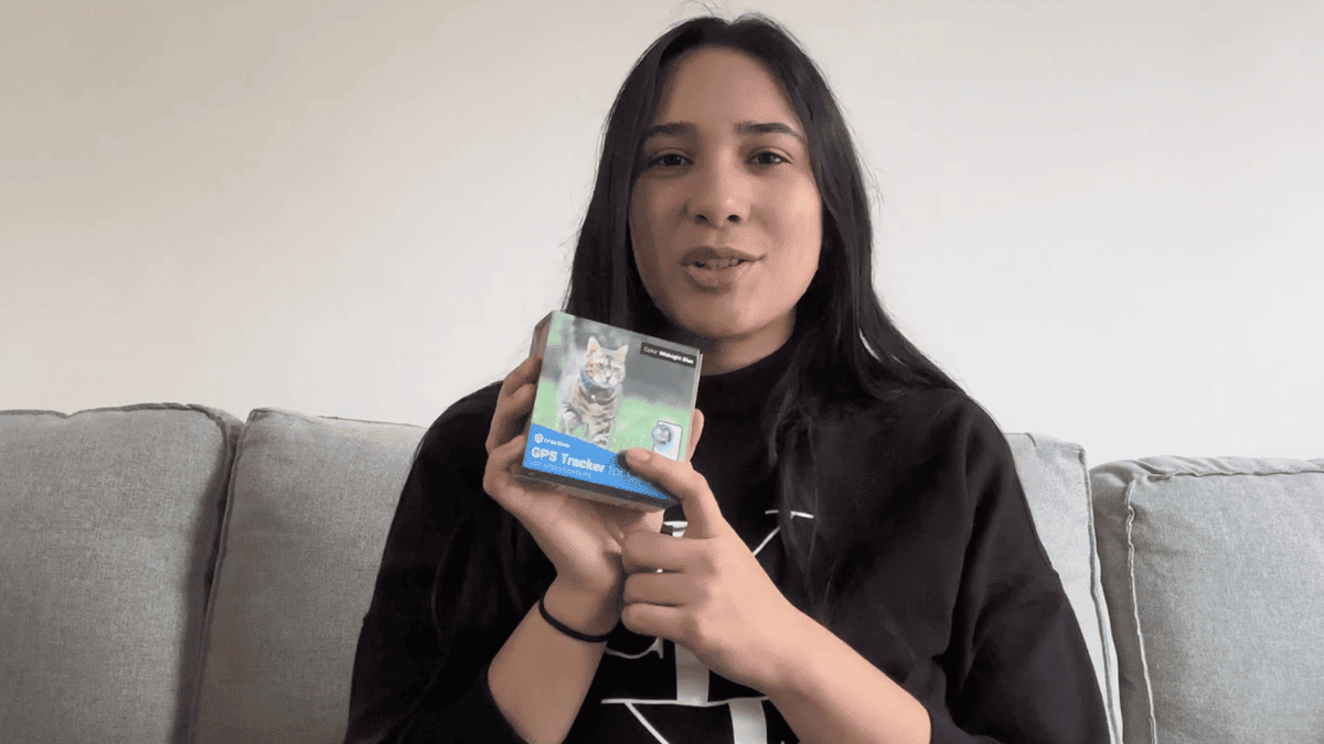 Cat Talking Buttons, Tested & Reviewed By Cat Parents - Happy Cats Home