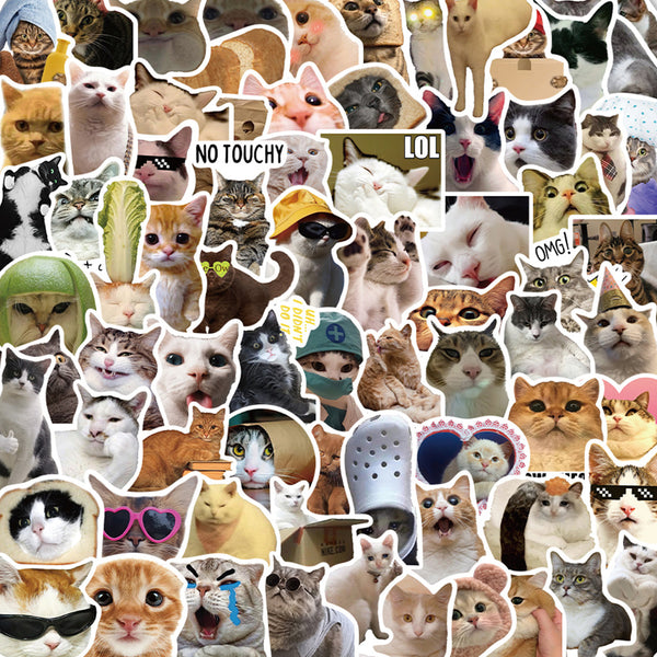 Realistic Cat Meme Stickers - Happy Cats Home